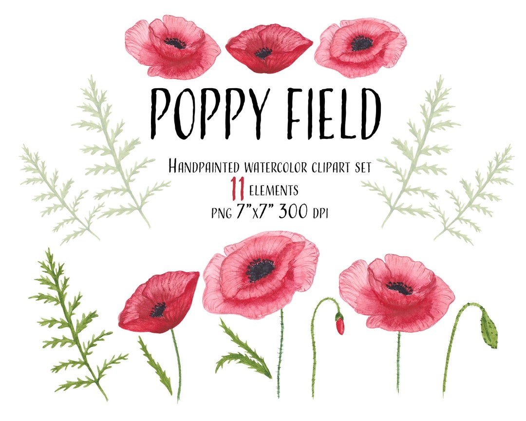 POPPY FIELD Watercolor Clipart Set With Poppies and Leaves. Perfect ...