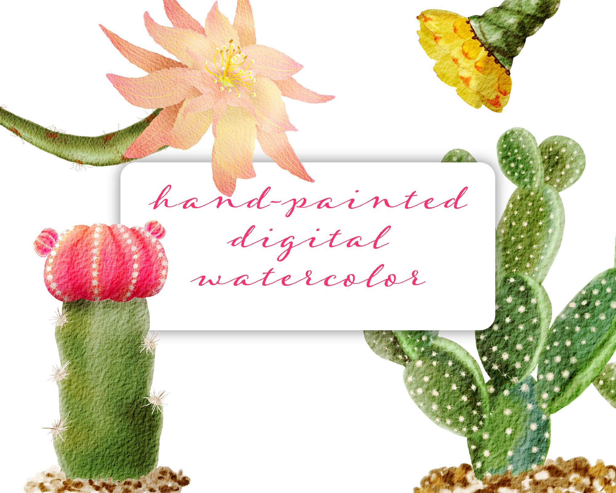 SUCCULENTS Digital Watercolor Clipart Set of Cacti and Intercheangable ...