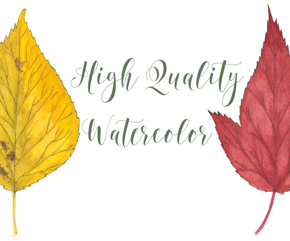 Fall Leaves Watercolor Clipart Set, Instant Download Files for ...