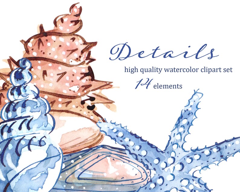 BLUE & BROWN SEASHELLS Watercolor Clipart Set With Shells and Starfish ...