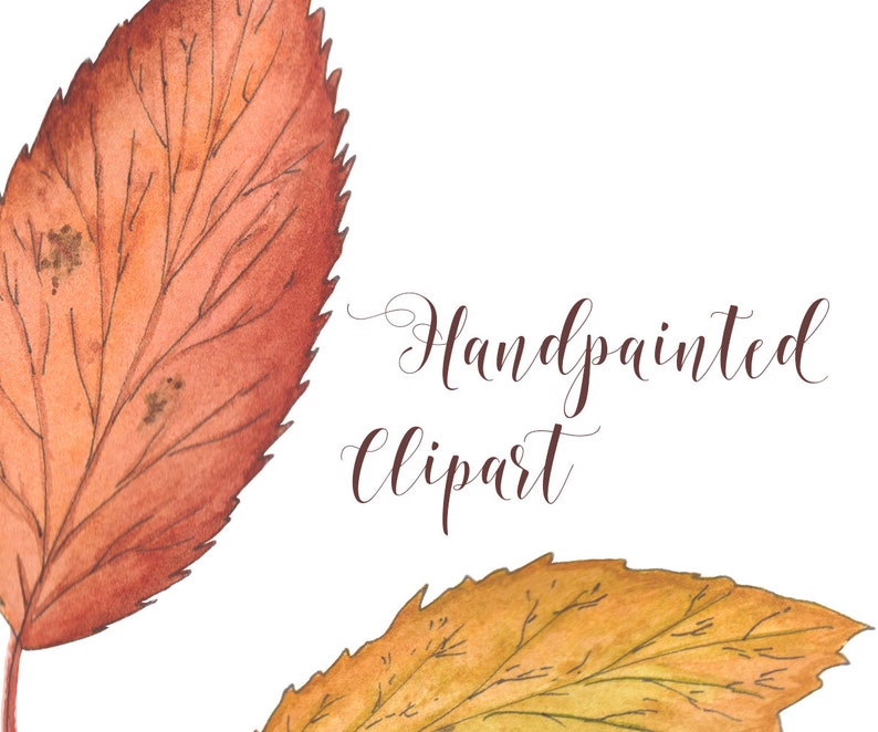 Fall Leaves Watercolor Clipart Set, Instant Download Files for ...