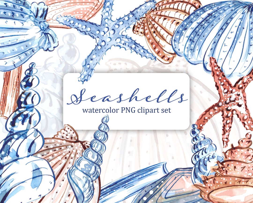 BLUE & BROWN SEASHELLS Watercolor Clipart Set With Shells and Starfish ...