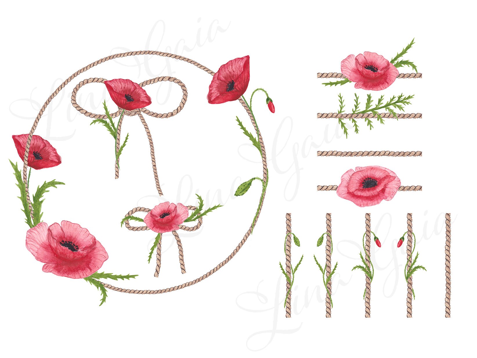 POPPIES & ROPE BUNDLE Watercolor Clipart Set With Floral Elements ...