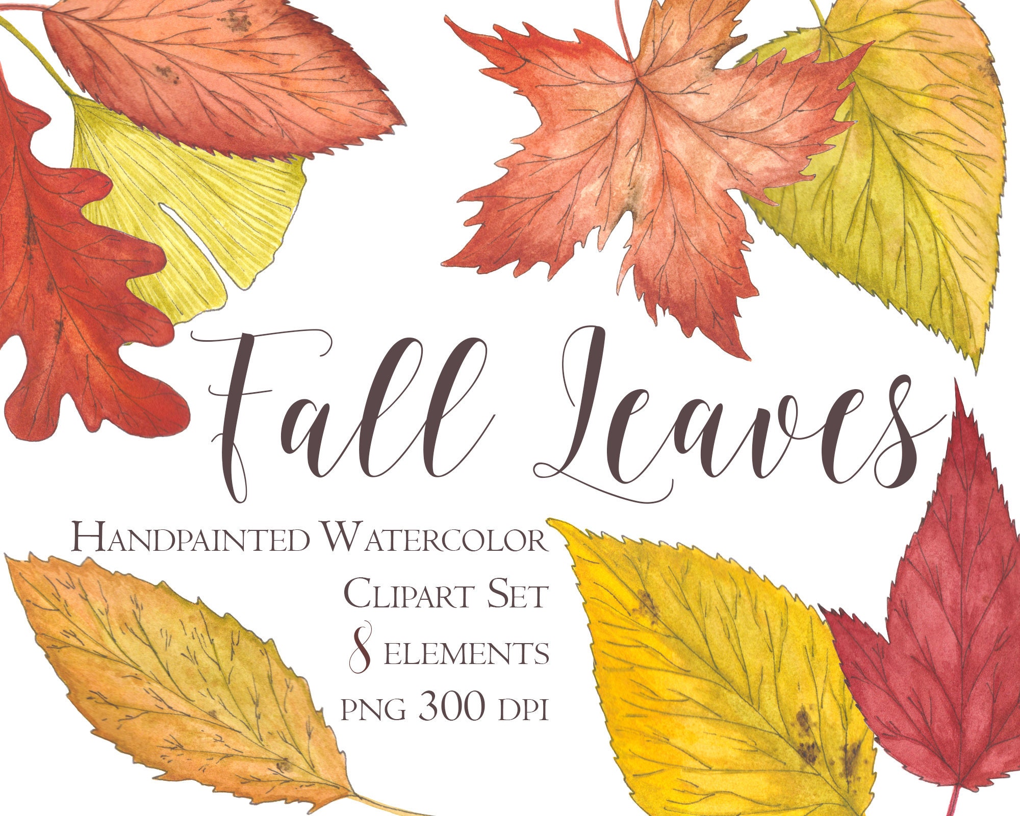 Fall Leaves Watercolor Clipart Set, Instant Download Files for ...