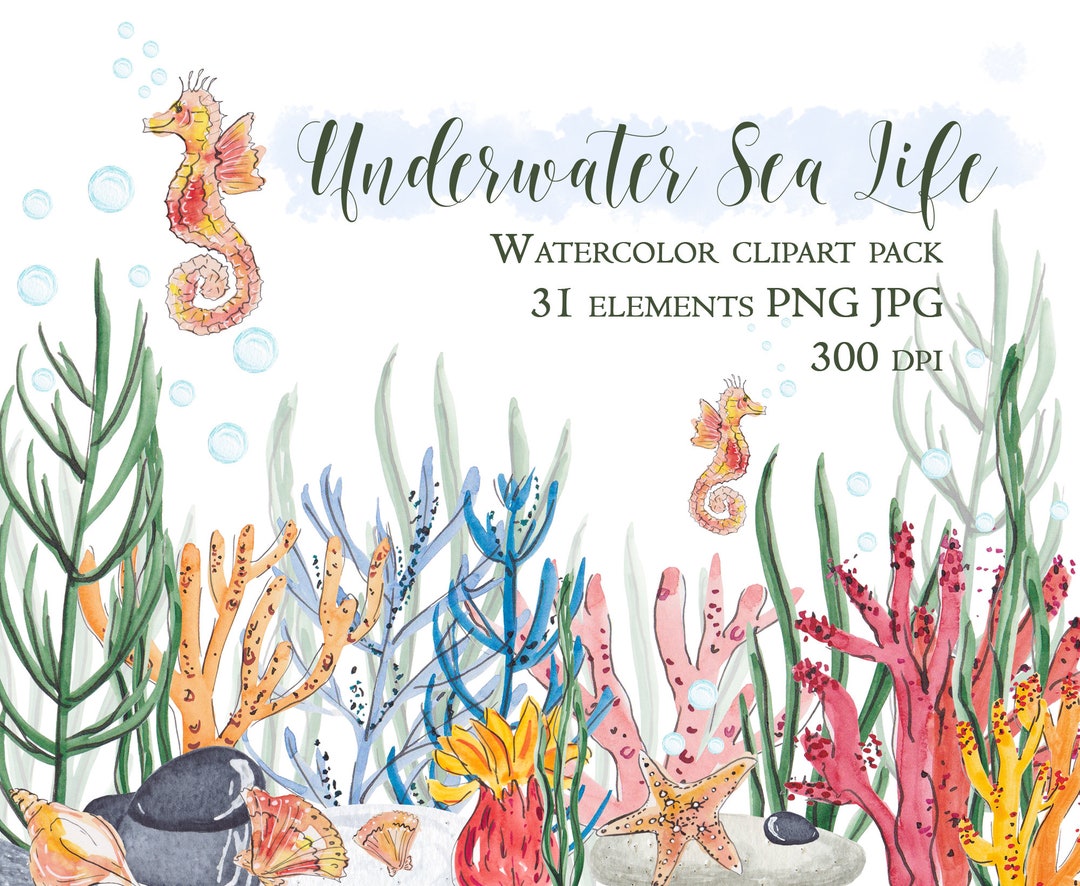 UNDERWATER SEA LIFE Watercolor Clipart Pack With Seaweeds, Corals ...