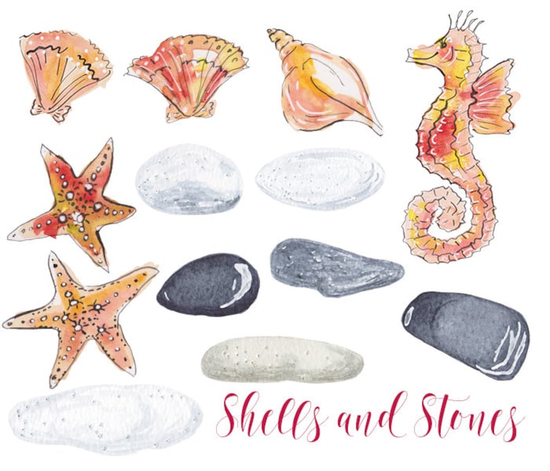 UNDERWATER SEA LIFE Watercolor Clipart Pack With Seaweeds - Etsy