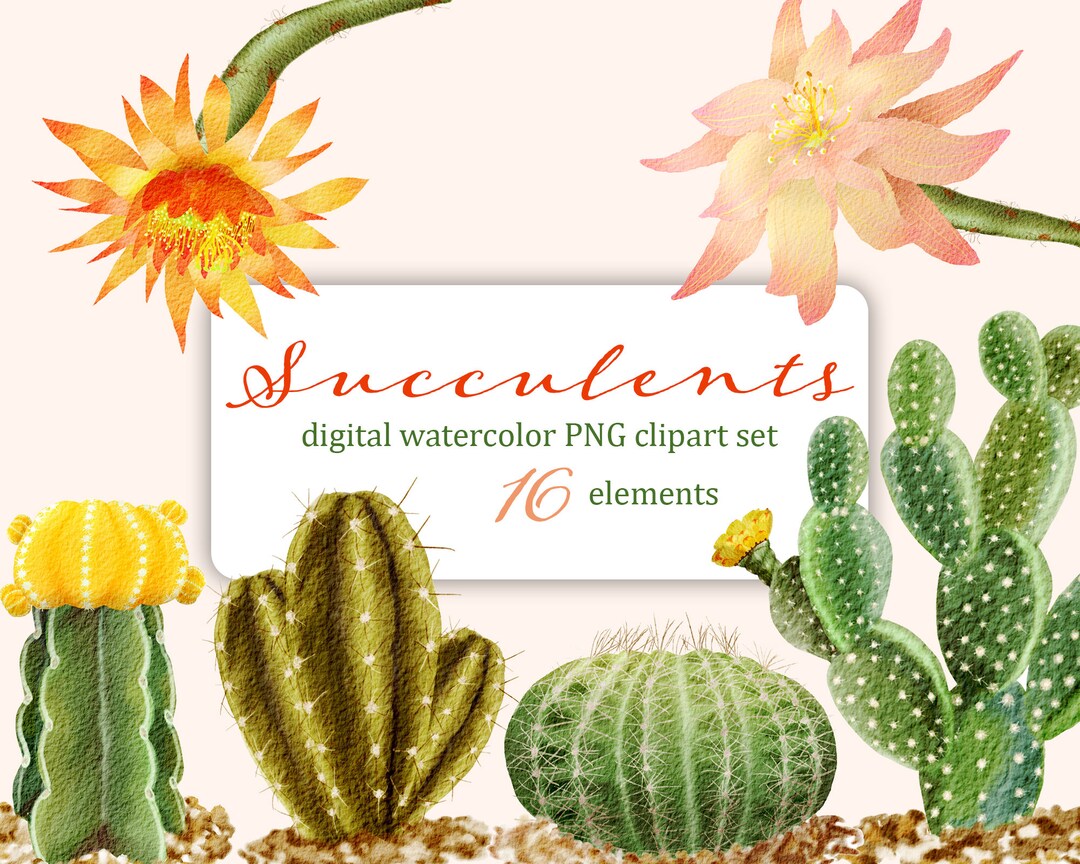 SUCCULENTS Digital Watercolor Clipart Set of Cacti and Intercheangable ...