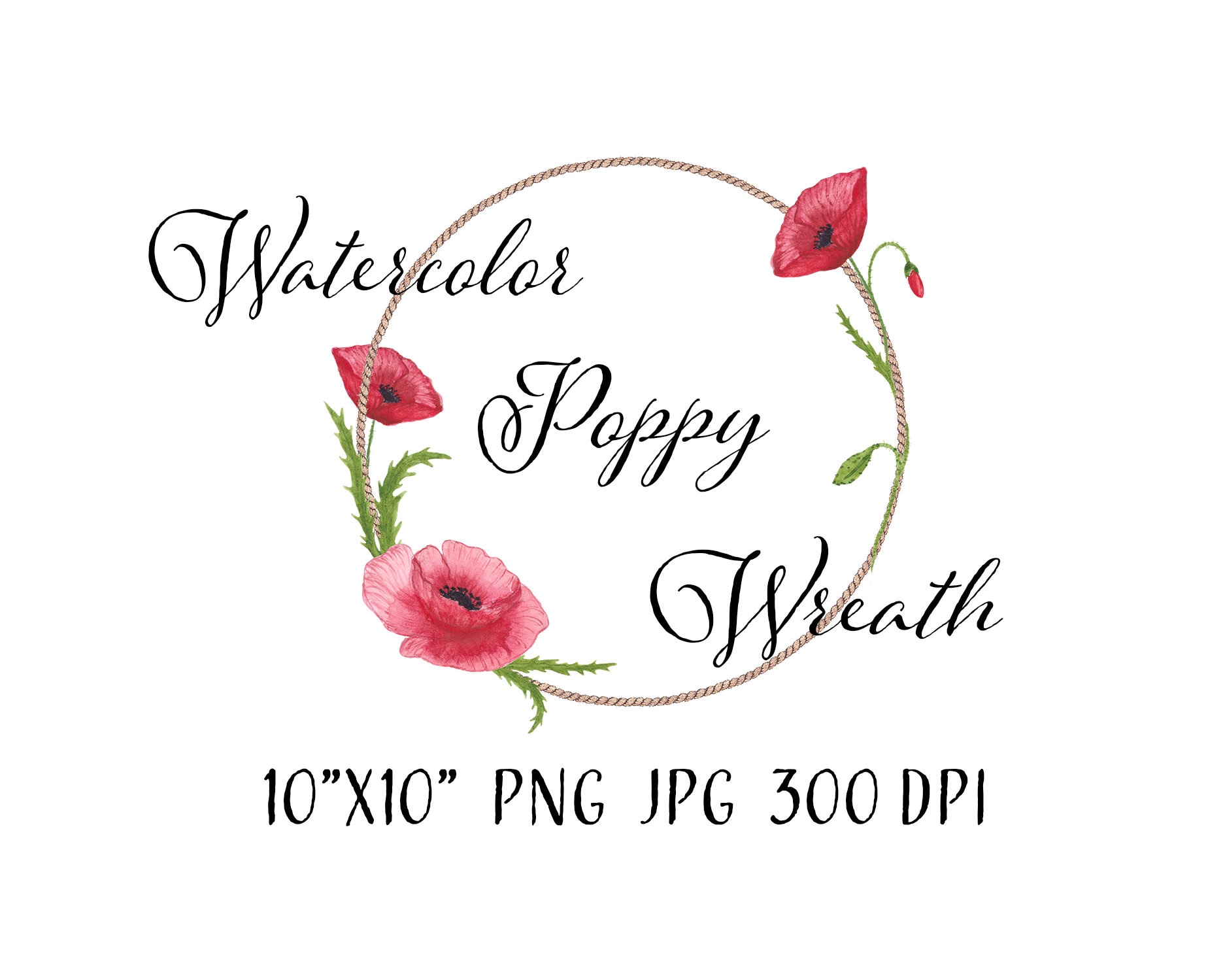 POPPIES & ROPE BUNDLE Watercolor Clipart Set With Floral Elements ...