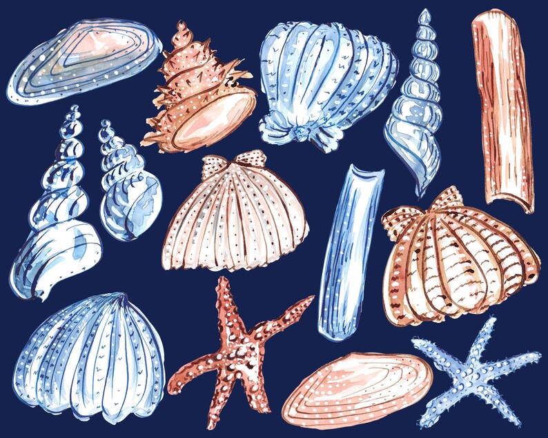 BLUE & BROWN SEASHELLS Watercolor Clipart Set With Shells and Starfish ...