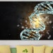 Dna Canvas Set Wall Art Canvas Science Decor Medical Anatomy Art ...