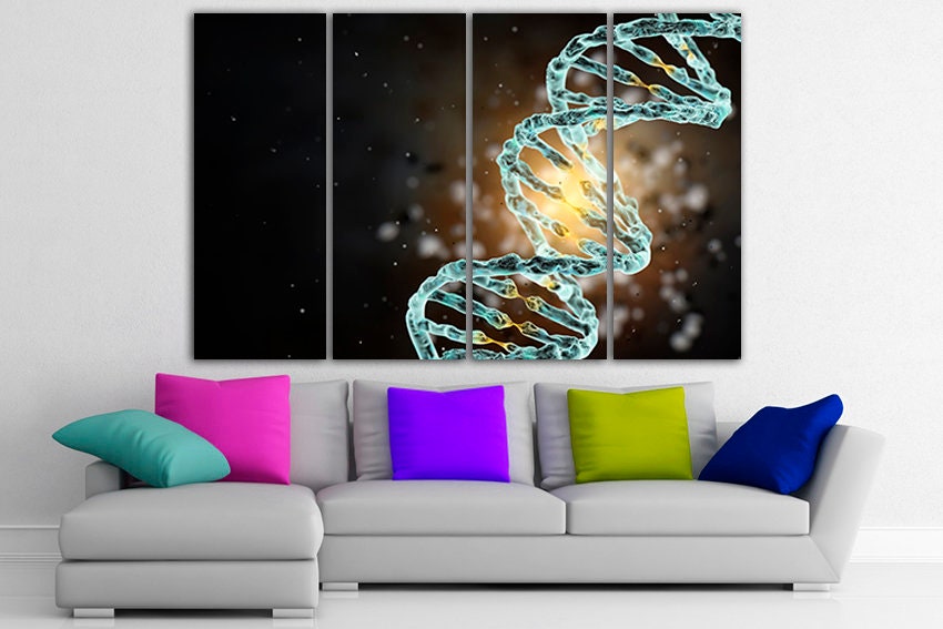 Dna Canvas Set Wall Art Canvas Science Decor Medical Anatomy - Etsy