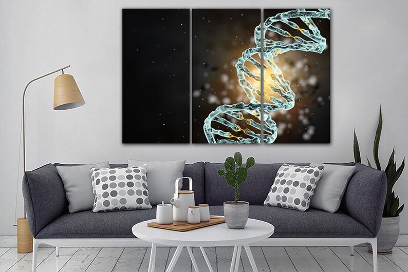 Dna Canvas Set Wall Art Canvas Science Decor Medical Anatomy - Etsy