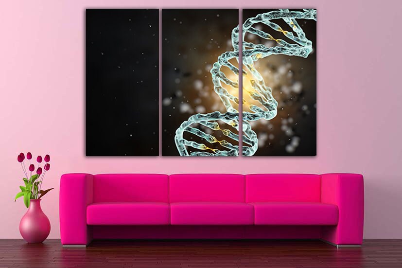 Dna Canvas Set Wall Art Canvas Science Decor Medical Anatomy - Etsy