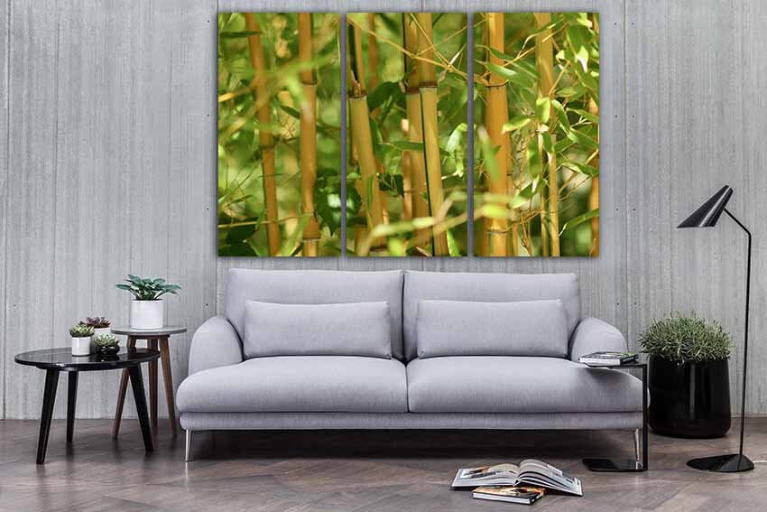 Bamboo Canvas Nature Print Bamboo Wall Décor Forest Wall Art | Etsy