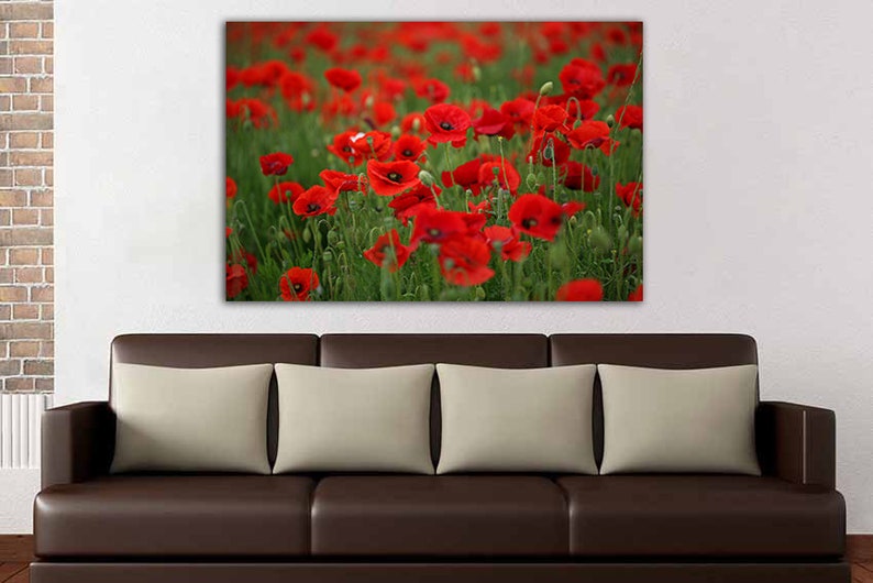 Poppy Canvas Flower Art Print Nature Decor Red Flower Art - Etsy