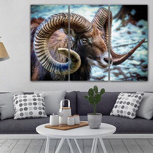 Ram Canvas Farmhouse Art Bighorn Sheep Canvas Wildlife Art Print ...