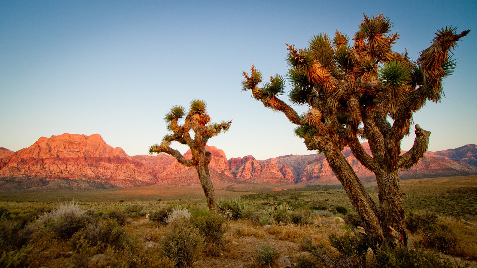 Red Mountain Art Print on Canvas Nature Print Landscape Decor ...