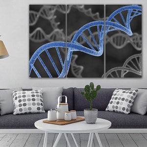 Dna Canvas Modern Print Science Wall Art Medical Anatomy Genetic Wall ...