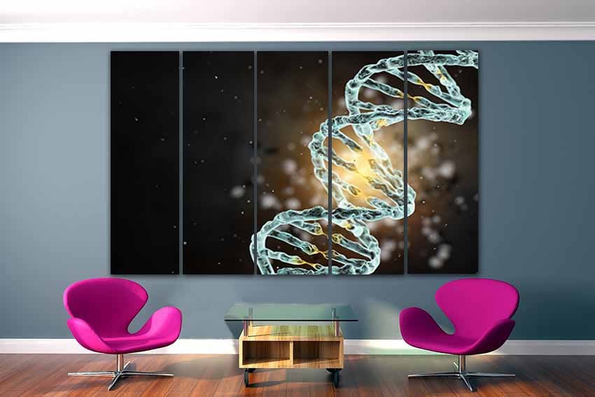Dna Canvas Set Wall Art Canvas Science Decor Medical Anatomy - Etsy