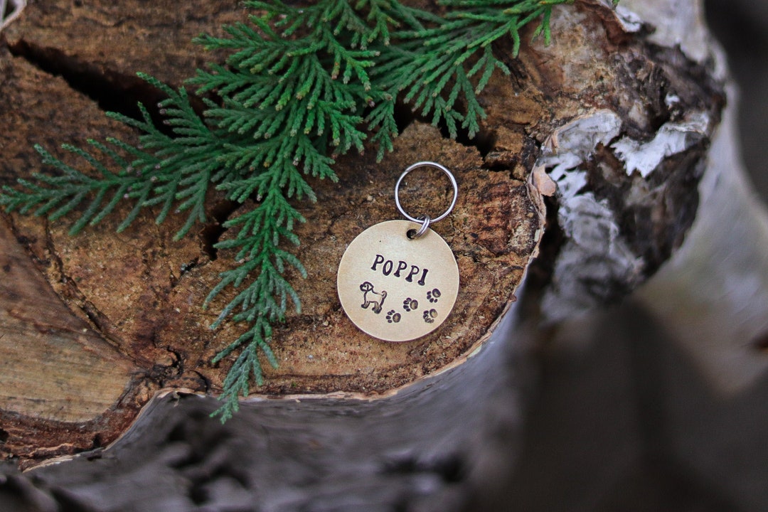 Personalized Paw Print Pet ID Tag: Hand Stamped Metal Dog Cat Collar - Etsy