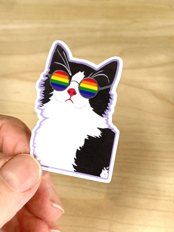 Tuxedo Cat With Rainbow Transgender Bisexual Pasexual Gender | Etsy