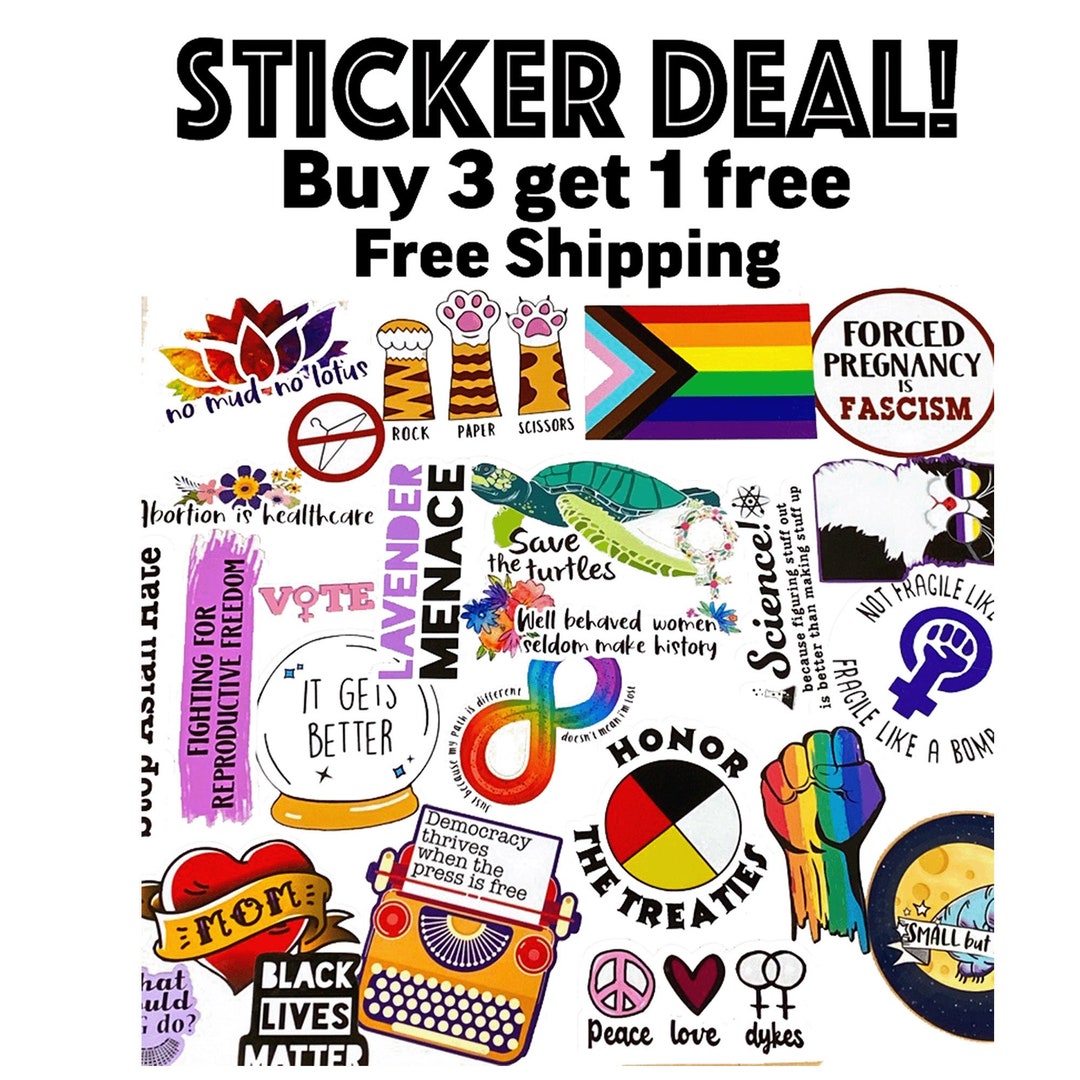 Feminist LGBTQ Political Stickers: Laptop & Water Bottle Decals - Buy 3 ...