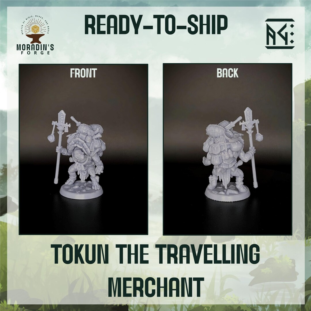 Tokun the Travelling Merchant (tortle, Merchant, NPC, Turtle) - 3D ...