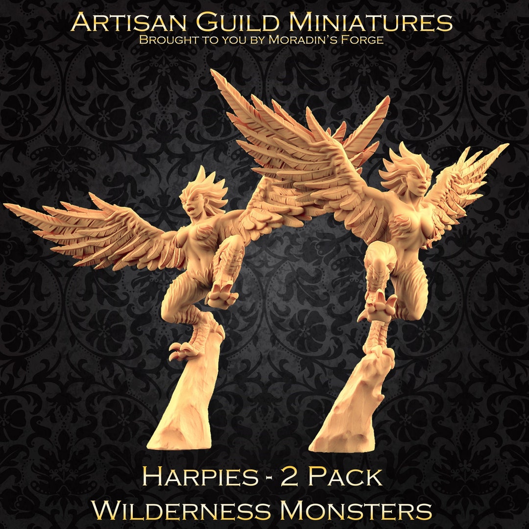 Harpy 2 Pack (monster) - 3D Printed Roleplaying Miniatures - Etsy