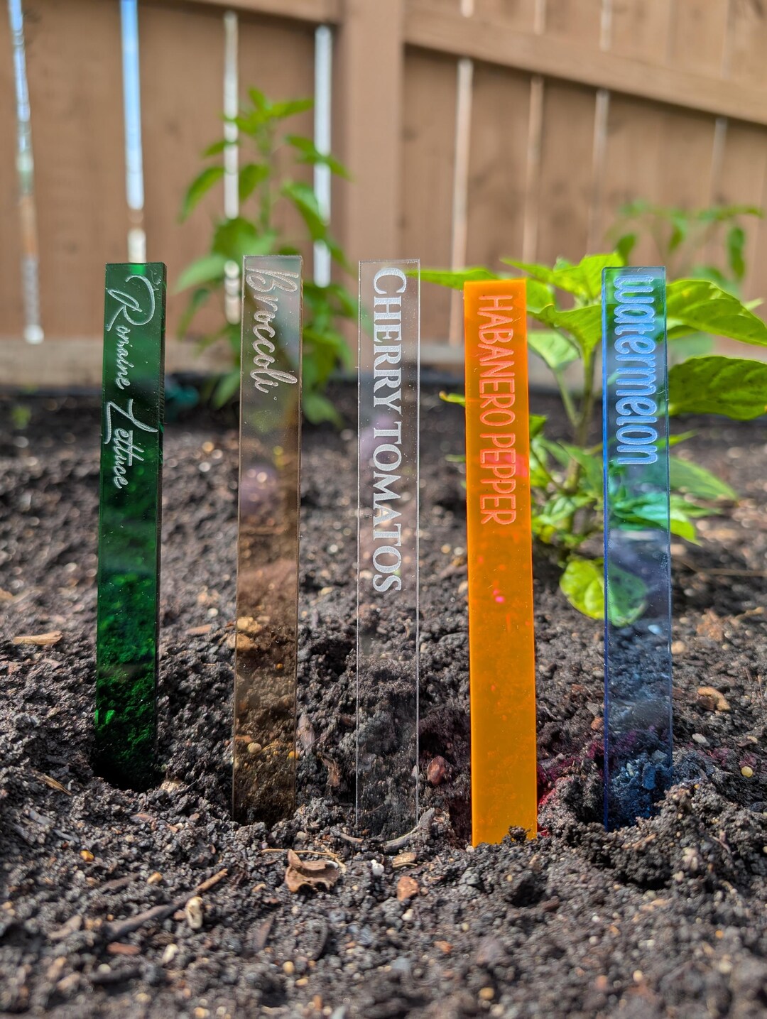 Custom Engraved Garden Stakes / Fruit and Vegetable Markers / Herb and ...