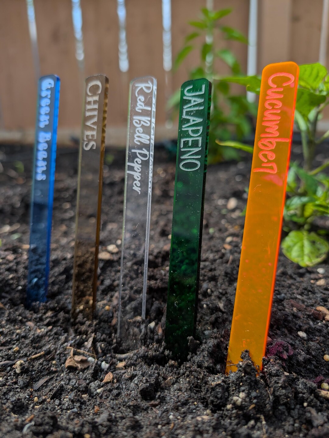 Custom Engraved Garden Stakes / Fruit and Vegetable Markers / Herb and ...