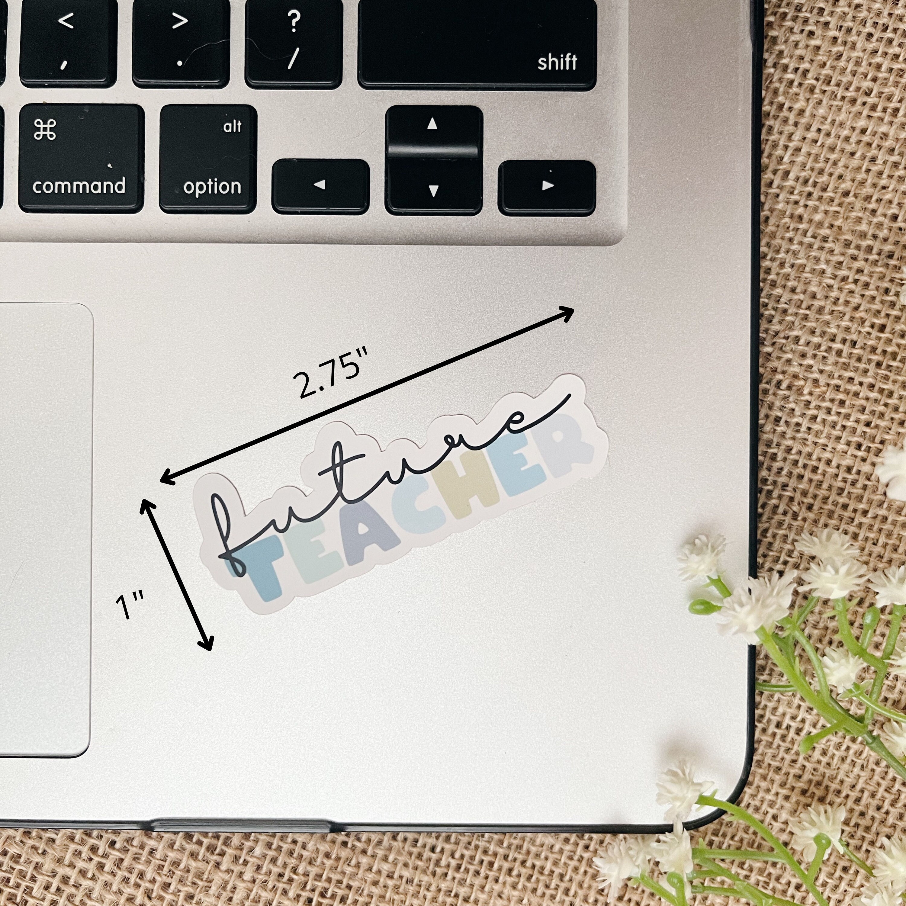 Future Teacher Sticker Blue Boho Future Teacher Sticker - Etsy