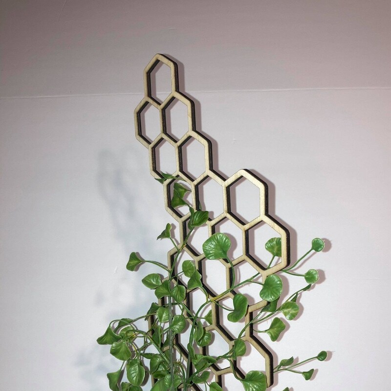 Hexagon Trellis - Etsy