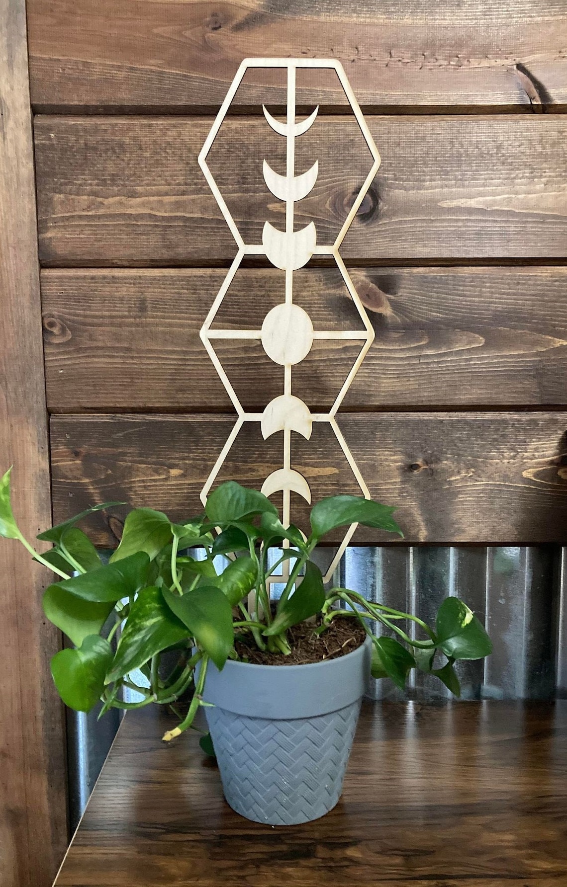 Moon Phase Trellis Plant Trellis Stain Finish Clearcoat - Etsy