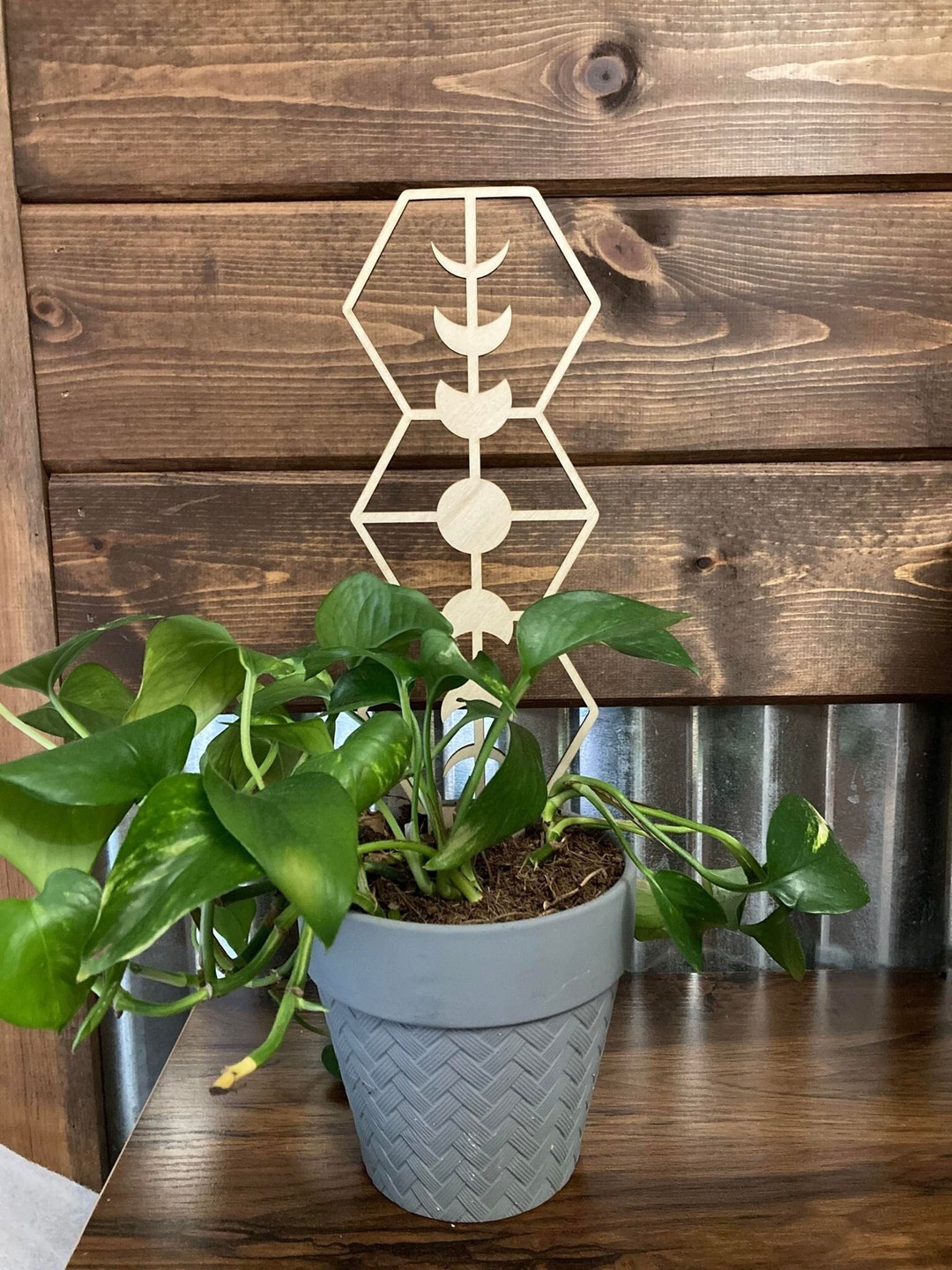 Moon Phase Trellis | Plant Trellis | Stain Finish | Clearcoat Honeycomb ...