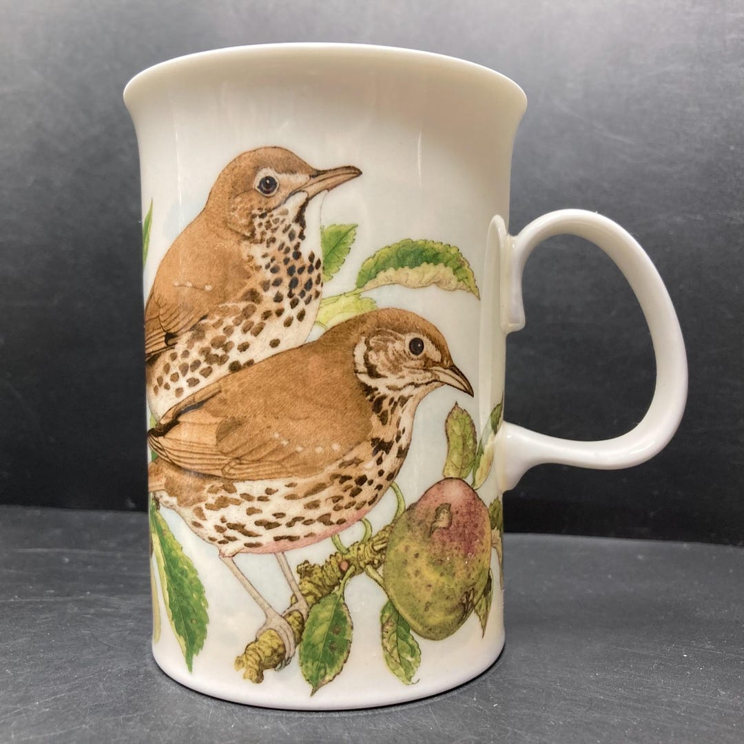 Vintage Dunoon Garden Birds Blackbird & Thrush Richard Partis Fine Bone ...