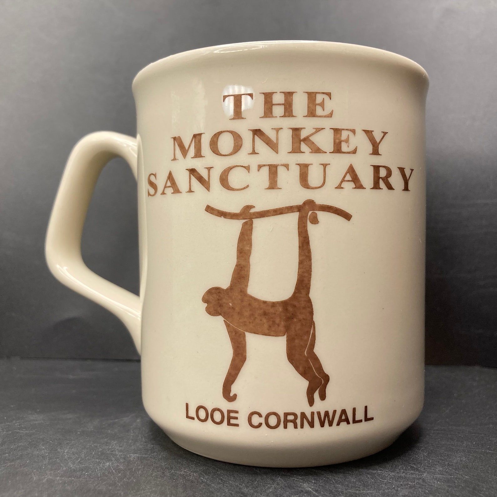 Vintage the Monkey Sanctuary Looe Cornwall Porcelain Mug - Etsy