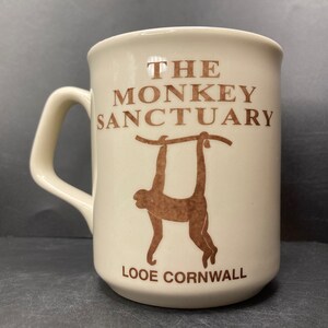 Vintage the Monkey Sanctuary Looe Cornwall Porcelain Mug - Etsy