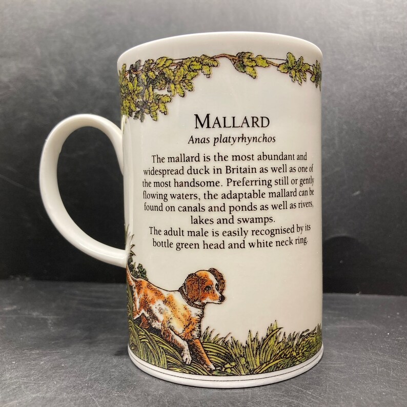 Vintage Dunoon Mallard Game Birds Small Fine Bone China Mug Jane ...