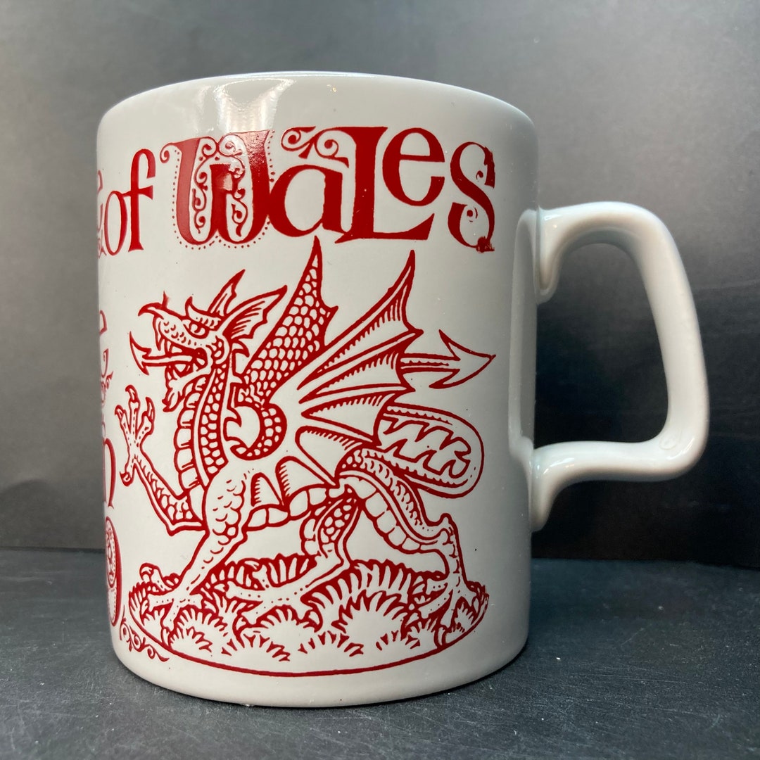 Vintage 1969 Prince of Wales Investiture at Caernarvon Ceramic Mug Made ...