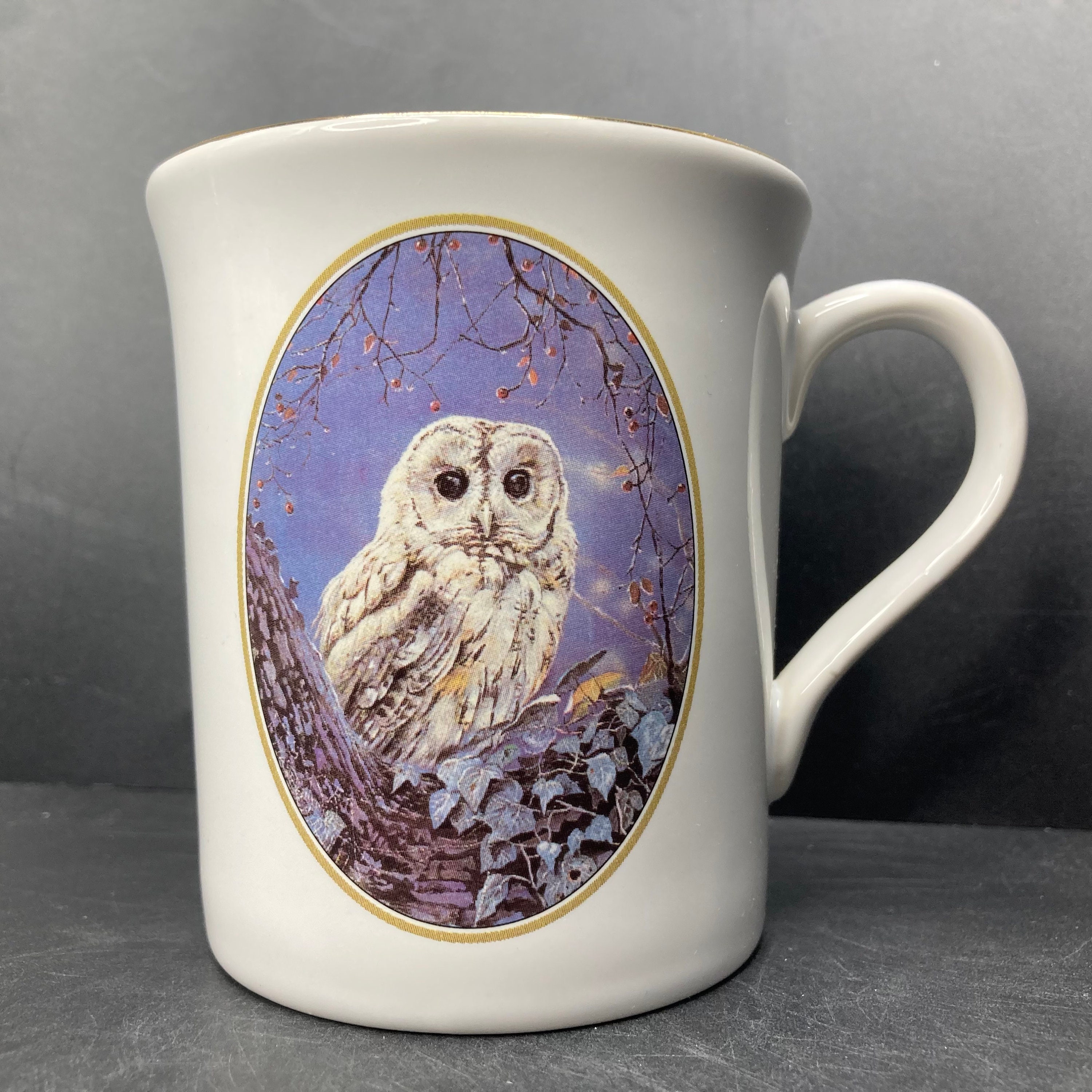 Vintage Snowy Owl Perched in Tree Ceramic Mug the Pollyanna Pickering ...