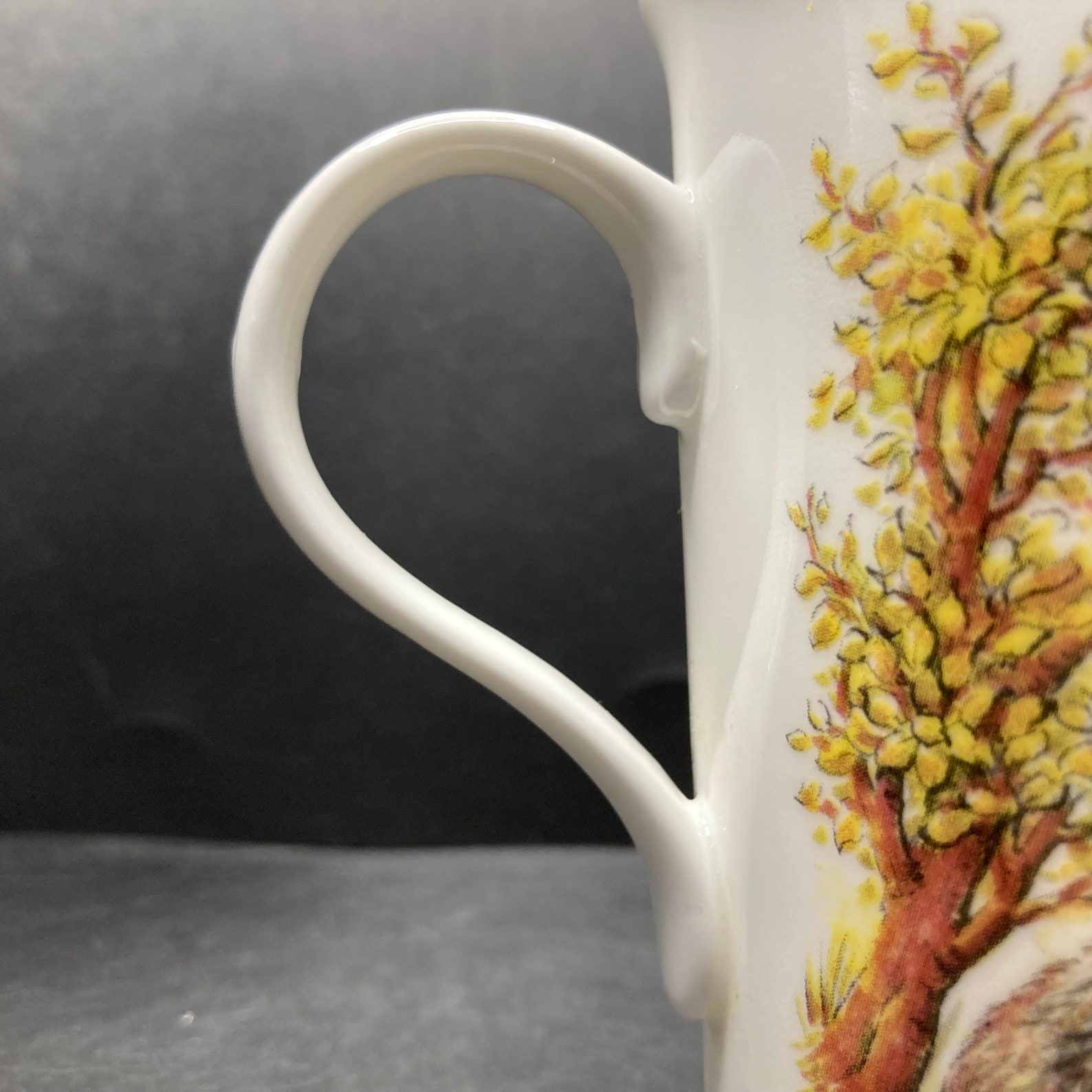 Vintage Crown Trent Badgers and Hedgehog Rural Scene Fine Bone China ...