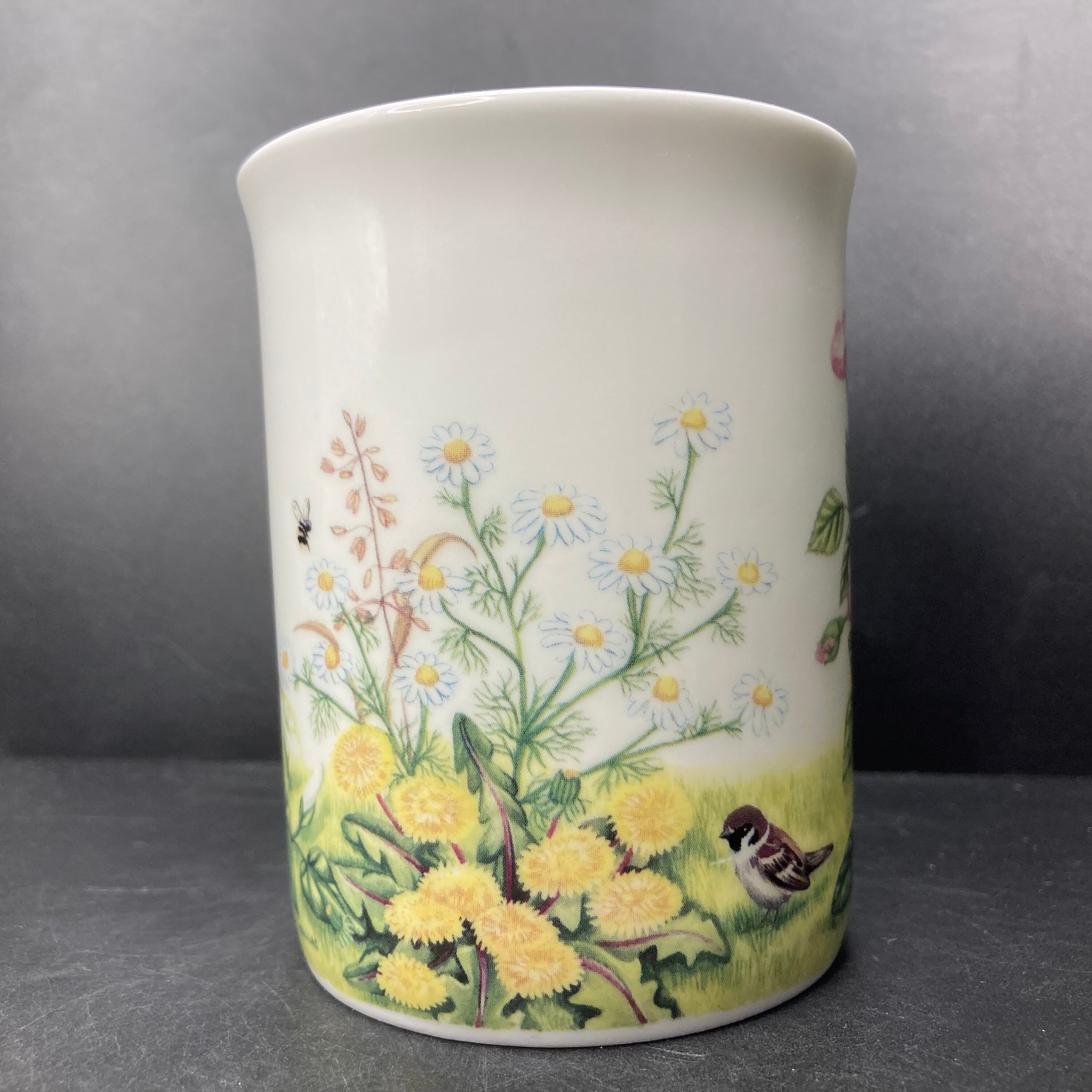 Vintage Fenton China Company Wildflowers Bee and Sparrow English Bone ...