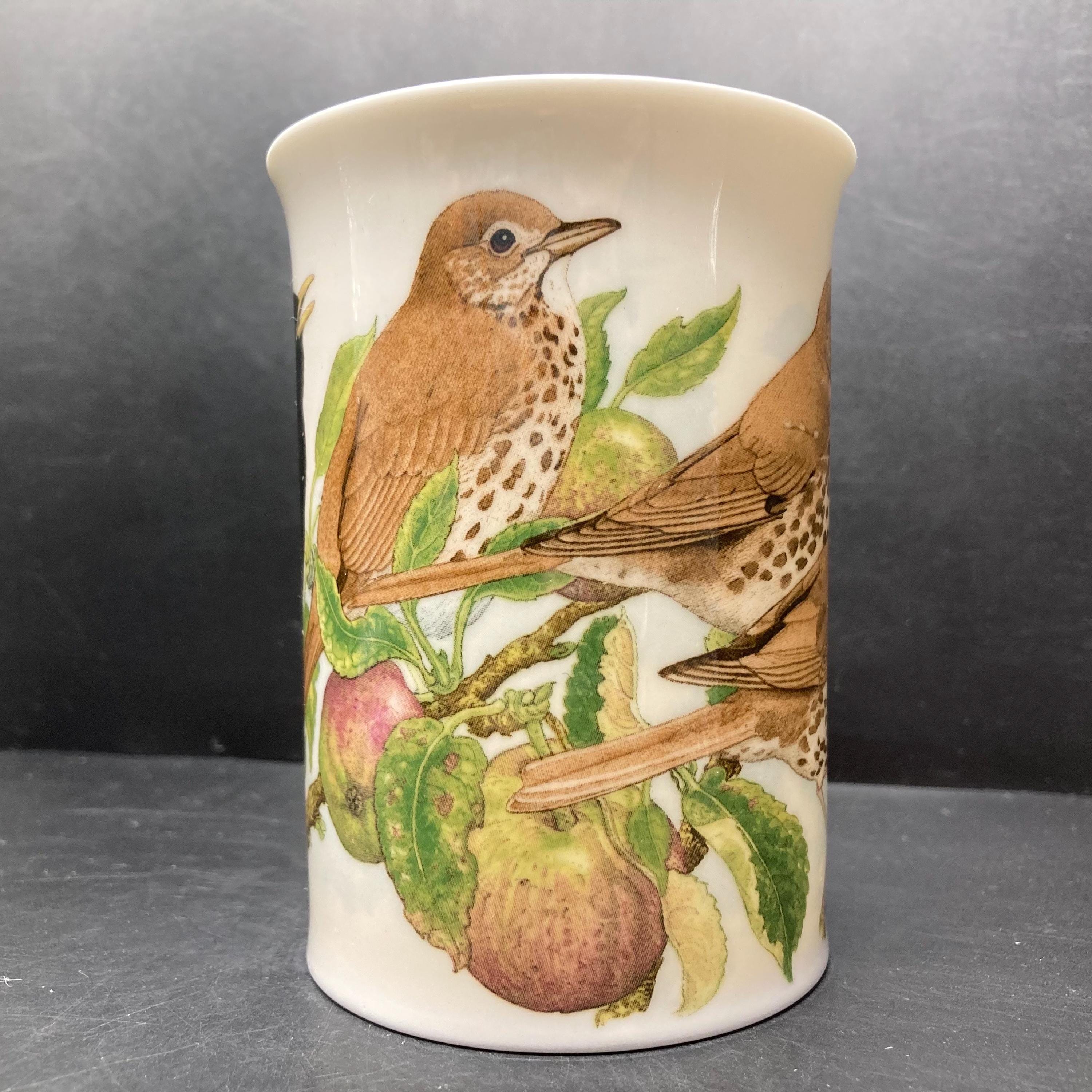 Vintage Dunoon Garden Birds Blackbird & Thrush Richard Partis Fine Bone ...