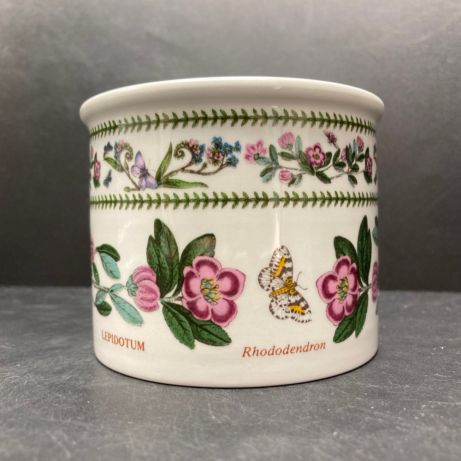 Vintage 1992 Portmeirion Variations Rhododendron Lepidotum Ceramic Mug ...