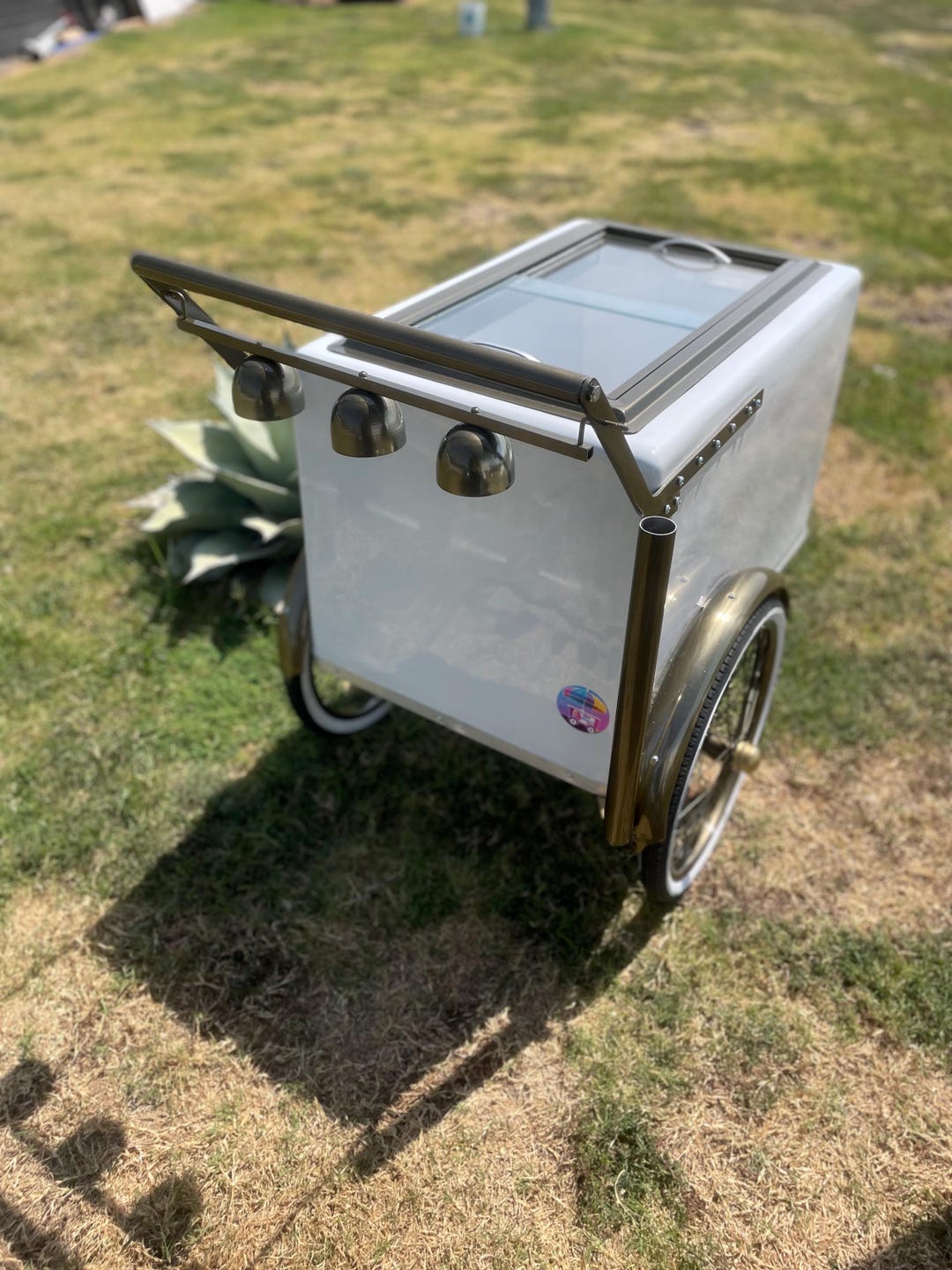 Ready to Ship (stock) Icecream Cart With Sliding Door Wood Topping ...
