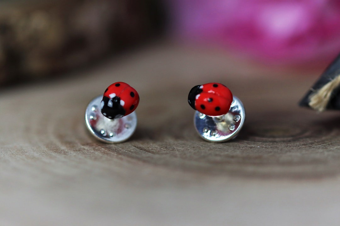 Set of 4 or 10 LADYBUG Pins in Polymer Clay Ladybug BROOCH Jacket ...