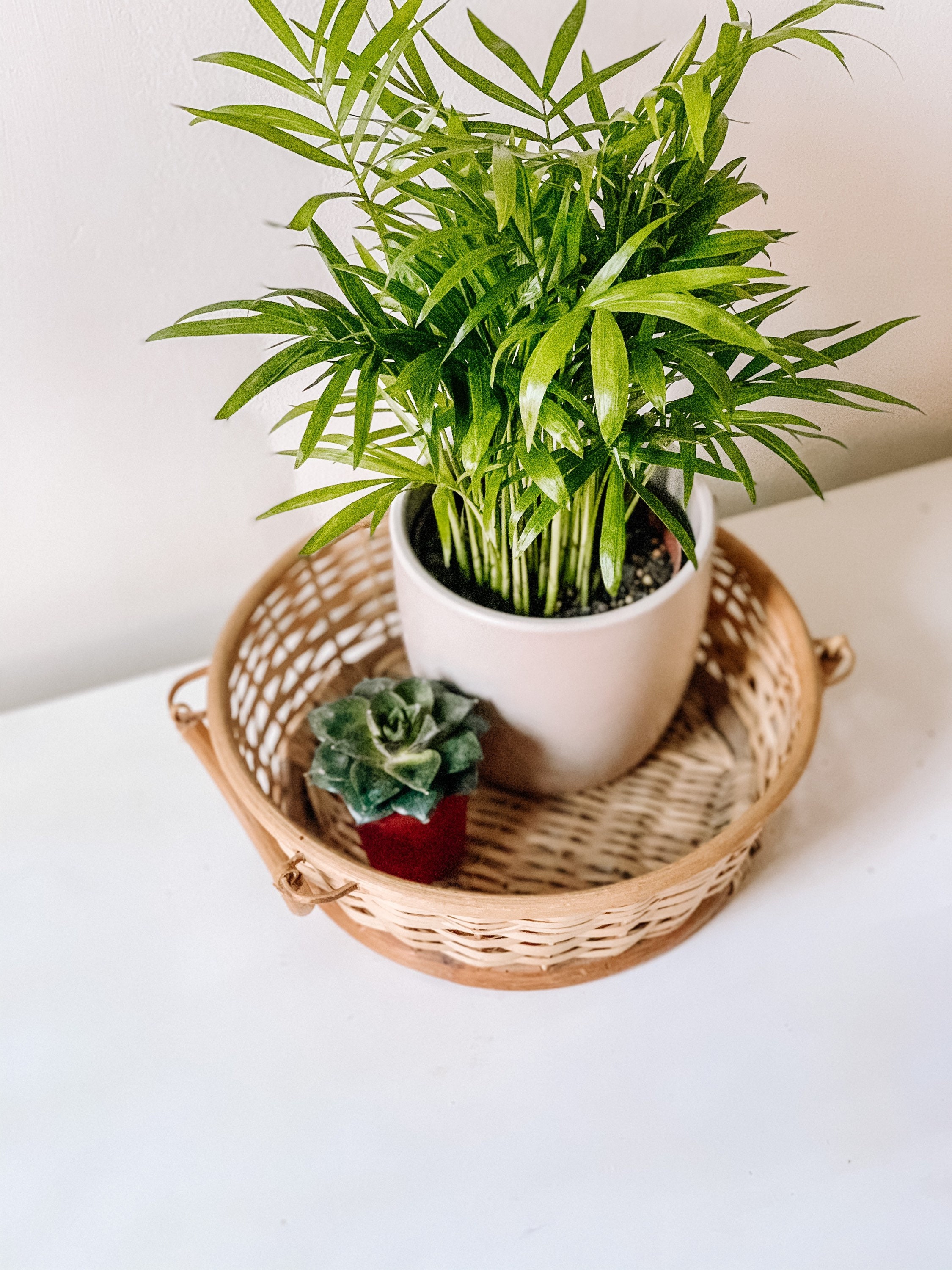 Vintage Wicker Basket With Handles | Round Flat Basket Tray | Rattan ...