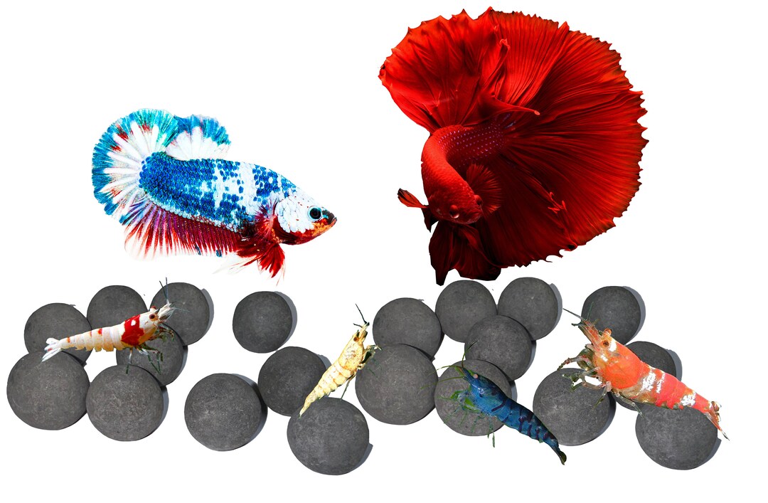 Awesome Industries Shrimp & Betta Tourmaline Balls Water Conditioner ...