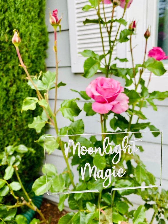 Rose Garden Signs Rose Labels Laser Engraved Custom Garden | Etsy