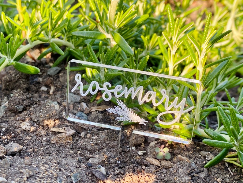 Durable Garden Stakes Great as Kitchen Herb Signs Succulent - Etsy